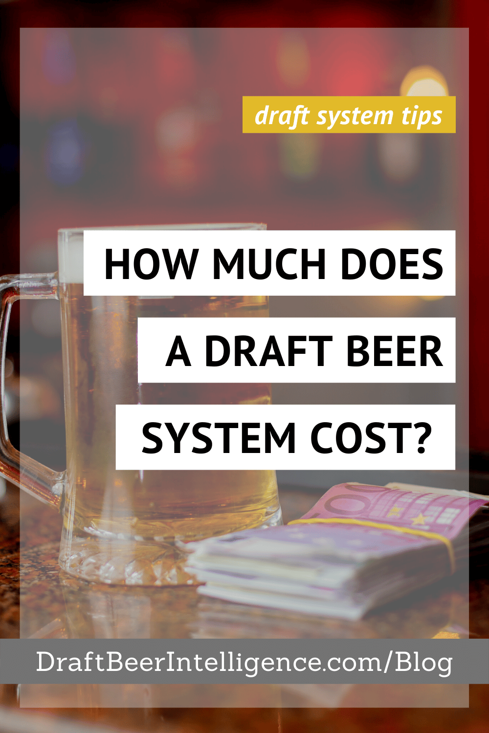 What is the Cost of a Draft Beer System? | Draft Beer Intelligence